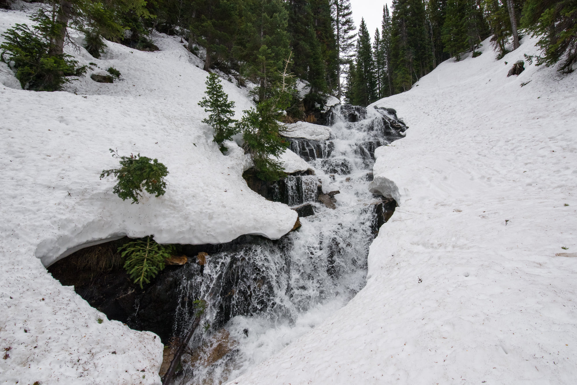 Gloria Falls Trail Hike – Utah County Homes, The Bennetts
